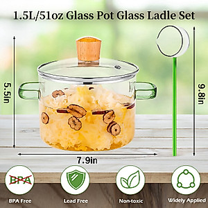 1.5L/51oz Glass Pot Glass Soup Ladle Set Glass Cooking Pot Glass Pots for Cooking on Stove Simmer Pot Oven Gas Safe (Green Handle Glass Pot, Glass Spoon)