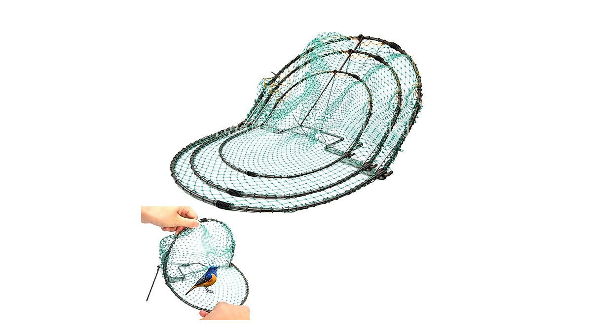 WBTY Catching Bird Net Bird Pigeon Humane Live Trap Mesh for Sparrows ...