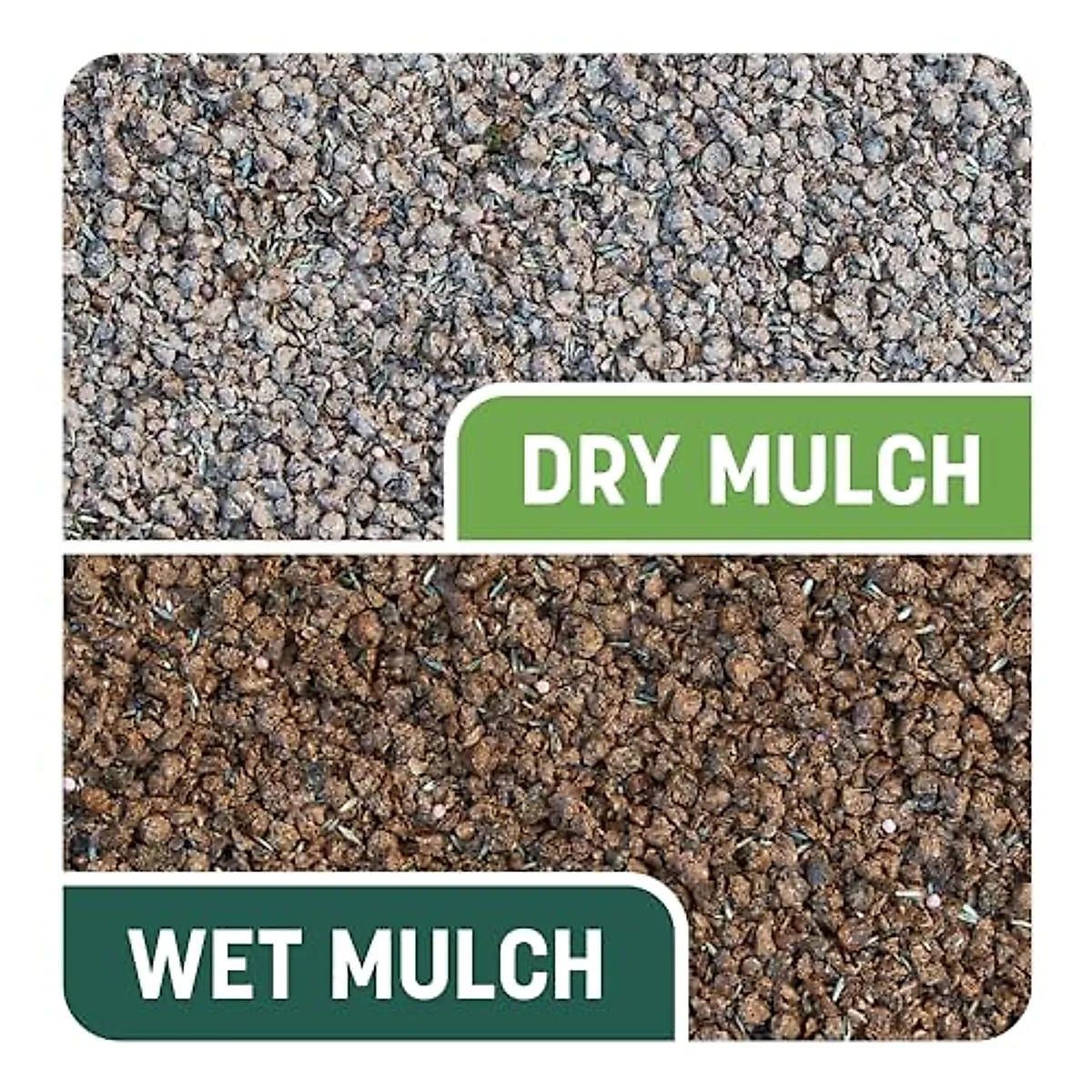 Pennington Smart Patch Sun and Shade Mix Jug 5 lb