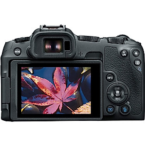 Canon EOS R8 Mirrorless Camera with 24-50mm, EF 75-300mm & 420-800mm Lenses + Mount Adapter + 20 Essential Accessories for Content Creators