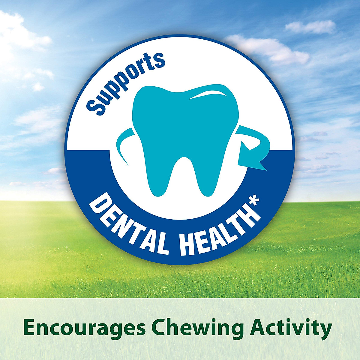 Kaytee Fiesta Hamster And Gerbil Food, 2.5-Lb Bag