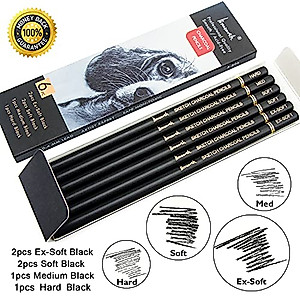Brusarth Professional Charcoal Pencils Drawing Set 6 Pieces (Ex-Soft, Soft, Medium, & Hard) Charcoal Pencils for Drawing, Sketching, Shading, Artist Pencils for Beginners & Artists