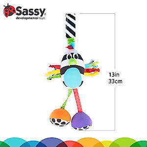 Sassy Boppin’ Birdie | Developmental Plush Toy for Early Learning | High Contrast | Attaches to Baby Gear for Travel | for Ages Newborn and Up (80660)