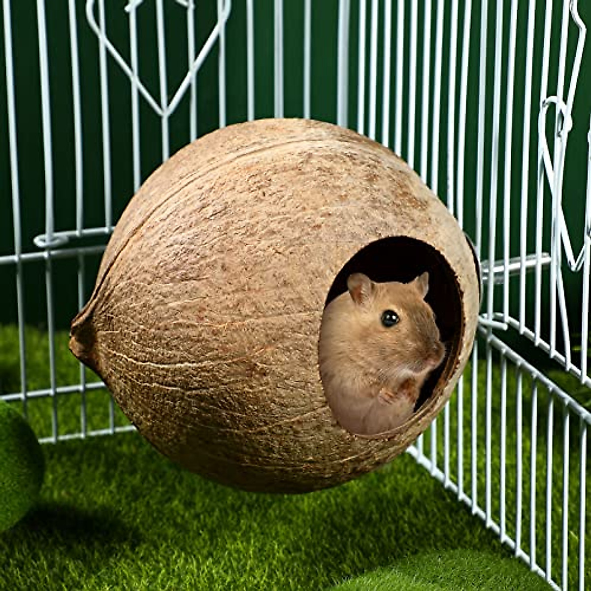 balacoo Coconut Shell Birds Nest- Natural Coconut Shell Bird Nest Keep Warm House Hut Cage for Pet Parrot Budgies Parakeet
