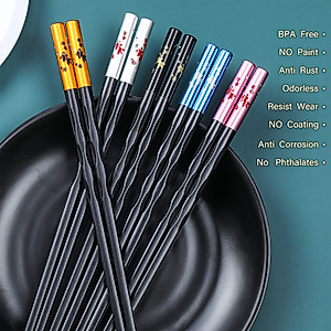 HuaLan Fiberglass Chopsticks Series - Japanese Non-Slip Chopstick, Reusable Chop Sticks Dishwasher Safe, 5 Pairs, Gift Set, 9.9 Inches
