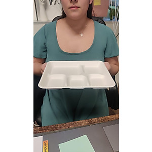 [500 Pack] 5 Compartment Trays, 100% Compostable Paper Plate tray, School Bagasse Lunch trays, Buffet, and Party, Disposable trays with 5 compartment, Biodegradable, Natural (4821011)