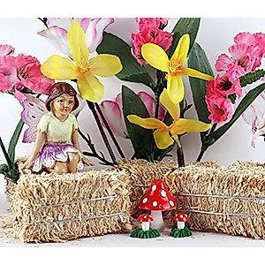 Meyer Imports Mini Hay Bales - Small - (Pack of 3) Small Decorative Hay – for Craft/Dollhouse/Farm/Halloween/Table Decoration - 2.5 x 1 Inches Each