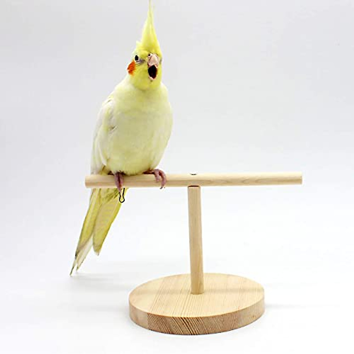 QBLEEV Bird Perch Parrot Wooden Stand，Bird Tabletop Standing Perches Play Stand Rack，Parrot Training Stick Travel Portable Pet Bird Carrier Stand for Parakeets Cockatiel Conure Budgie Lovebirds Finch