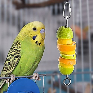 Bird Cage Food Holder Parrot Fruit Vegetable Skewer Bird Cage Feeder Foraging Toy for Parakeet Budgie Macaw