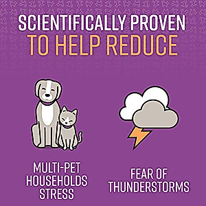 SENTRY PET Care Sentry Calming Spray for Cats, Uses Pheromones to Reduce Stress, Easy Spray Application, Helps Cats with Separation, Travel, Loud Noises, and Anxiety, Packaging May Vary