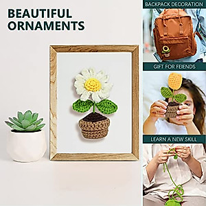 PP OPOUNT Beginner Crochet Kit - 3 PCS Potted Plants, Complete Crochet Kit for Beginners, Starter Pack for Adults and Kids with Step-by-Step Instructions and Video Tutorials