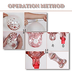 Bachelorette Party Decorations,Bride Balloons,Foil Curtains, Rose Gold Bridal Shower Party Supplies Decor-Bridal Shower,Confetti Balloons Pack Fringe Curtain(Rose gold)