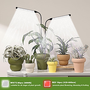 WeeLeeGoo Grow Light 2 Pack, 6000K Full Spectrum Gooseneck Growing Lamp for Indoor Pot Plants Bonsai/Plant/Houseplants, Dimmable & Auto Timer 4 8 12H