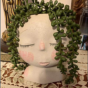 3 Pcs String of Pearls Plant Artificial Hanging Succulents Plants for Home Garden Decor (Pots Not Included) (Dark Green)