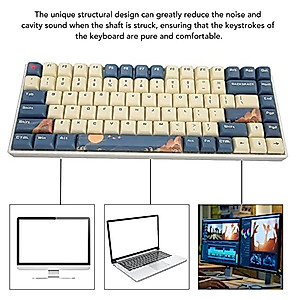 Dilwe Wireless Mechanical Keyboard, 2.4G USB Bluetooth Mechanical RGB Keyboard, 84 Key Compact Gaming Keyboard, Portable Mini Keyboard for Desktop, Laptop(Silver Switch)