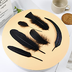 Larryhot Black Craft Feathers Bulk - 240pcs 6 Style Mixed Natural Feathers for Wedding Home Party, Dream Catcher Supplies and DIY Crafts (Black)