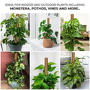 Voorjaar Moss Poles for Climbing Plants Monstera, 27 Inches 2 Pcs Indoor Plant Stakes to Support Upward Growth - Extendable 16" Coco Coir Poles with 4 Jute Strings and 10 Plant Labels