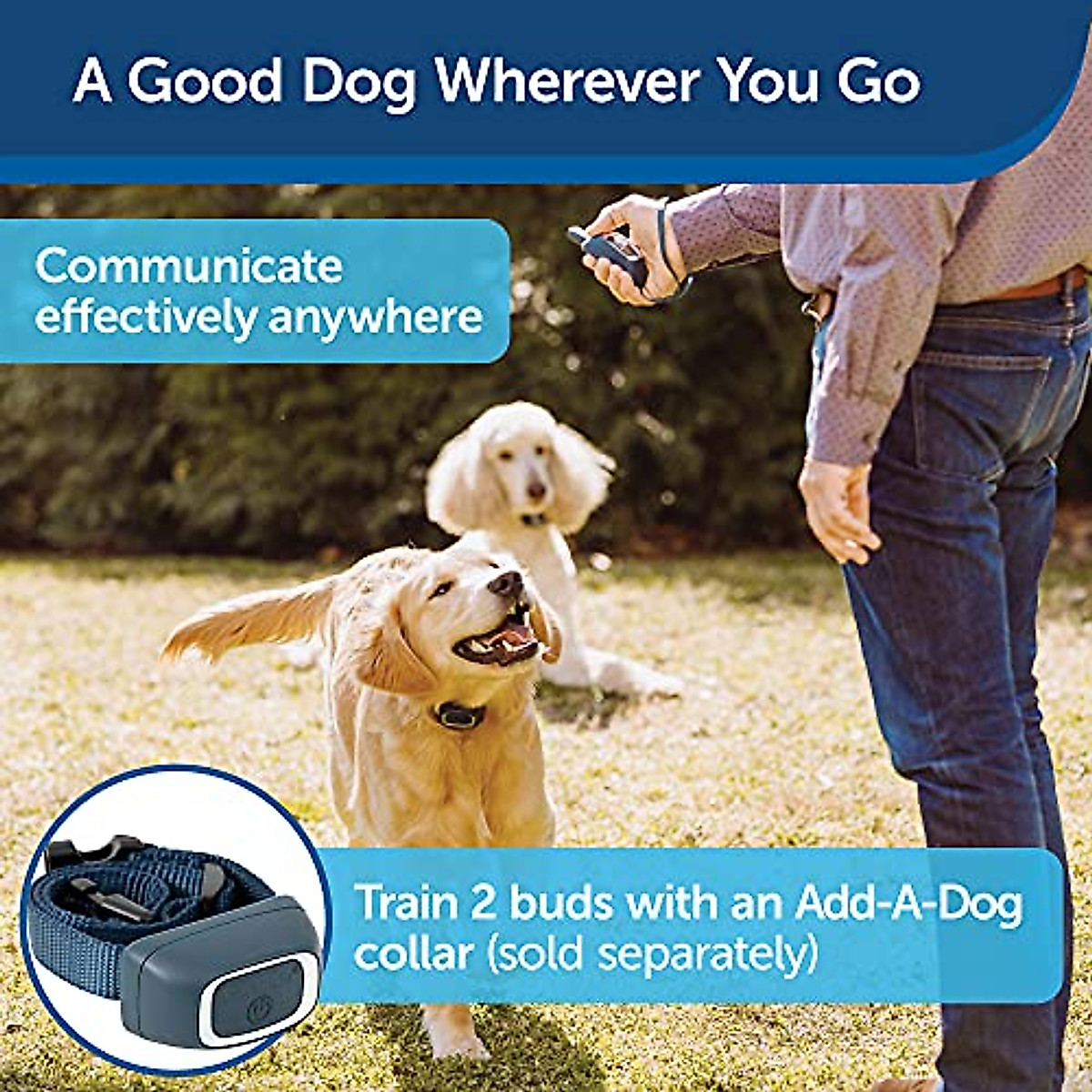 PetSafe Remote Training Collar - 300 Yard (900 FT) Range - Collar Fits Medium or Large Dogs - Choose from Tone, Vibration, or 15 Levels of Static Stimulation for Training Off Leash Dogs