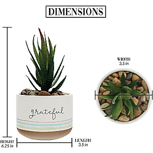 Pavilion Gift Company - Grateful - Artificial Plant with Stones, Mini Fake Aloe Plant, 1 Count (Pack of 1), 3.5” x 3.5” x 6.25” Overall in Size