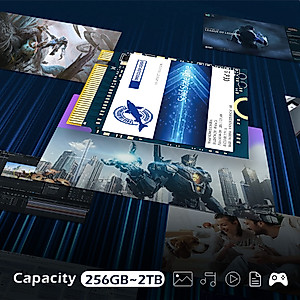 Dogfish SSD M.2 2230 NVMe PCIe 4.0 1TB 3D TLC NAND Gaming Unit?a stato solido interna per Steam Deck PS5 Surface Pro Laptop Desktop (M.2 2230 NVMe 4.0, 1TB)