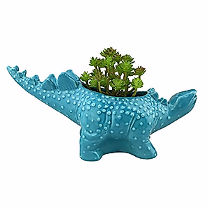 VanEnjoy 12 inches Cute Cartoon Dinosaur Ceramic Succulent Planter, Water Culture Hydroponics Bonsai Cactus Flower Pot,Air Plant Vase Holder Desktop Decorative Organizer (Stegosaurus, Blue)