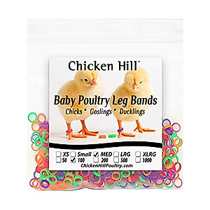 Baby Poultry Leg Bands 1/4" Medium Chick (100)