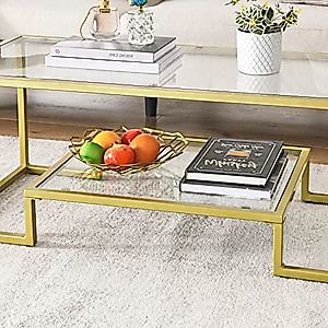 Alohappy Glass Coffee Table Modern Rectangular Coffee Table with 2-Tier Storage Shelf and Sturdy Metal Frame Center Table Easy Assembly for Living Room