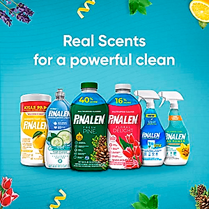 PINALEN Dishwashing Liquid Lemon Energy, 25.3 fl. oz., 1.78 pounds (2412)