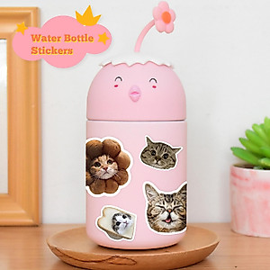 100 Pcs Cute Cat Stickers for Kids, Waterproof for Kids,Vinyl for Water Bottle,Laptop,Phone,Skateboard Stickers for KidsTeens Girls and Boys
