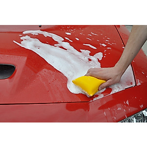 Detailer's Preference Microfiber Bug Scrubber Sponge