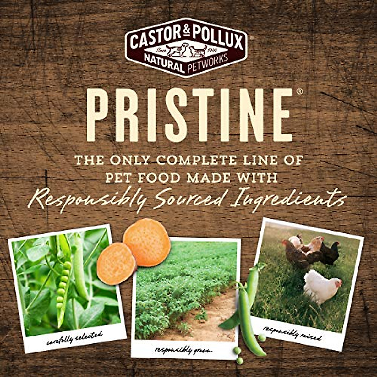 Castor & Pollux Pristine Grain Free Wild-Caught Salmon Recipe Morsels in Gravy Cat Food Pouches, (24) 3oz cans