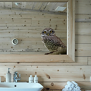 ROLY BEE 8.2 x 8.2-inch Realistic Owl Removable Vinyl Sticker for Windows (or Any Flat Surface)