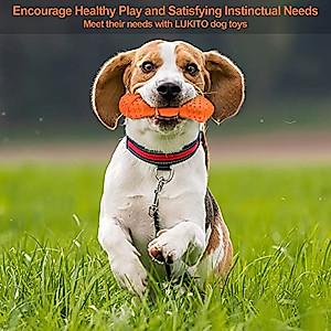 LUKITO Puppy Chew Toys, Durable Dog Bones Dog Chew Toys for Teething, Tough Puppy Teething Toys with Natural Rubber for Small and Medium Dog (Green+Orange)