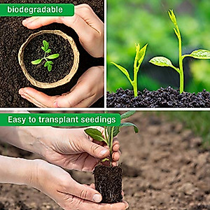 homenote Peat Pots, 120 Pcs 3.15 Inch Seed Starting Pots with Drainage Holes Round Nursery Pot, Biodegradable Plants Pots with Bonus 20 Plant Labels