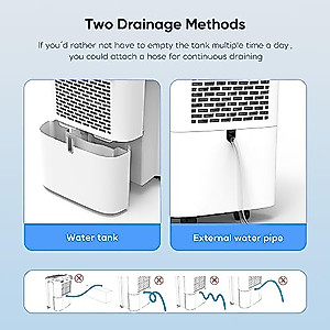 2500 Sq. Ft 30 Pint Dehumidifier, COLAZE DH01 Energy Star Dehumidifiers with Drain Hose for Home Basement Bedroom Bathroom, Auto Defrost & Overflow & Timer & Dry Function with 0.66 Gal Bucket