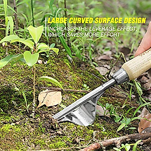 WORKPRO Garden Tools Set, 7 Piece, Stainless Steel Heavy Duty Gardening Tools with Wooden Handle, Including Garden Tote, Gloves, Trowel, Hand Weeder, Cultivator and More-Gardening Gifts For Women Men