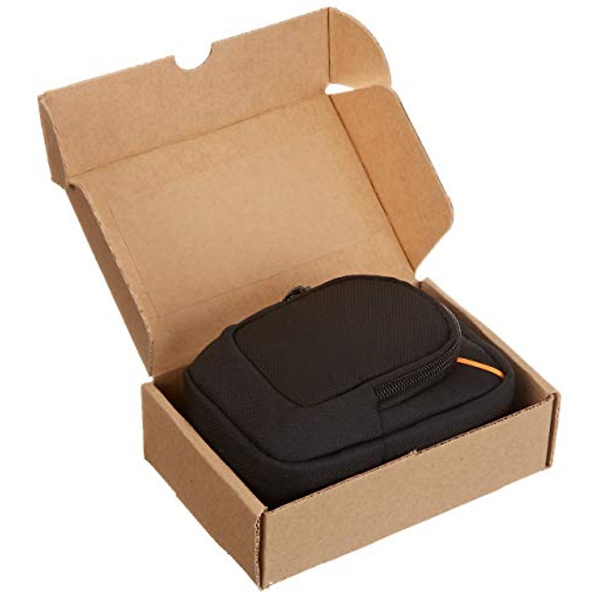 Amazon Basics Large Point and Shoot Camera Case - 6 x 4 x 2 Inches, Black