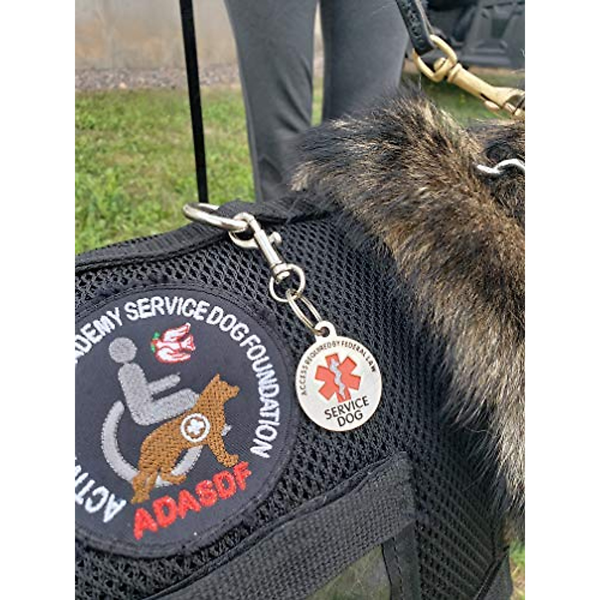 ActiveDogs.com Double Sided Service Dog Chrome Tag, ADA Access Required Federal Law Clip Tag w/Red Medical Alert Symbol - 1.25"