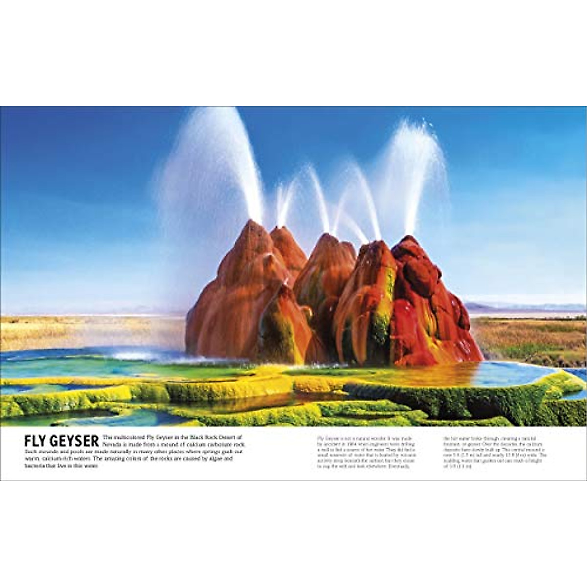 The Elements Book: A Visual Encyclopedia of the Periodic Table (DK Our World in Pictures)