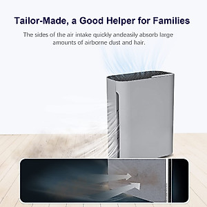 JASENG Replacement Filter for Dyson TP01 TP02 TP03 BP01 AM11 Dyson Tower Purifier Pure Cool Link, Replaces Part # 968126-03