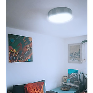 Ciata FC16T9/CW Fluorescent T9 Circline Ceiling Light Bulb, 40 Watt, 4100K - 2 Pack