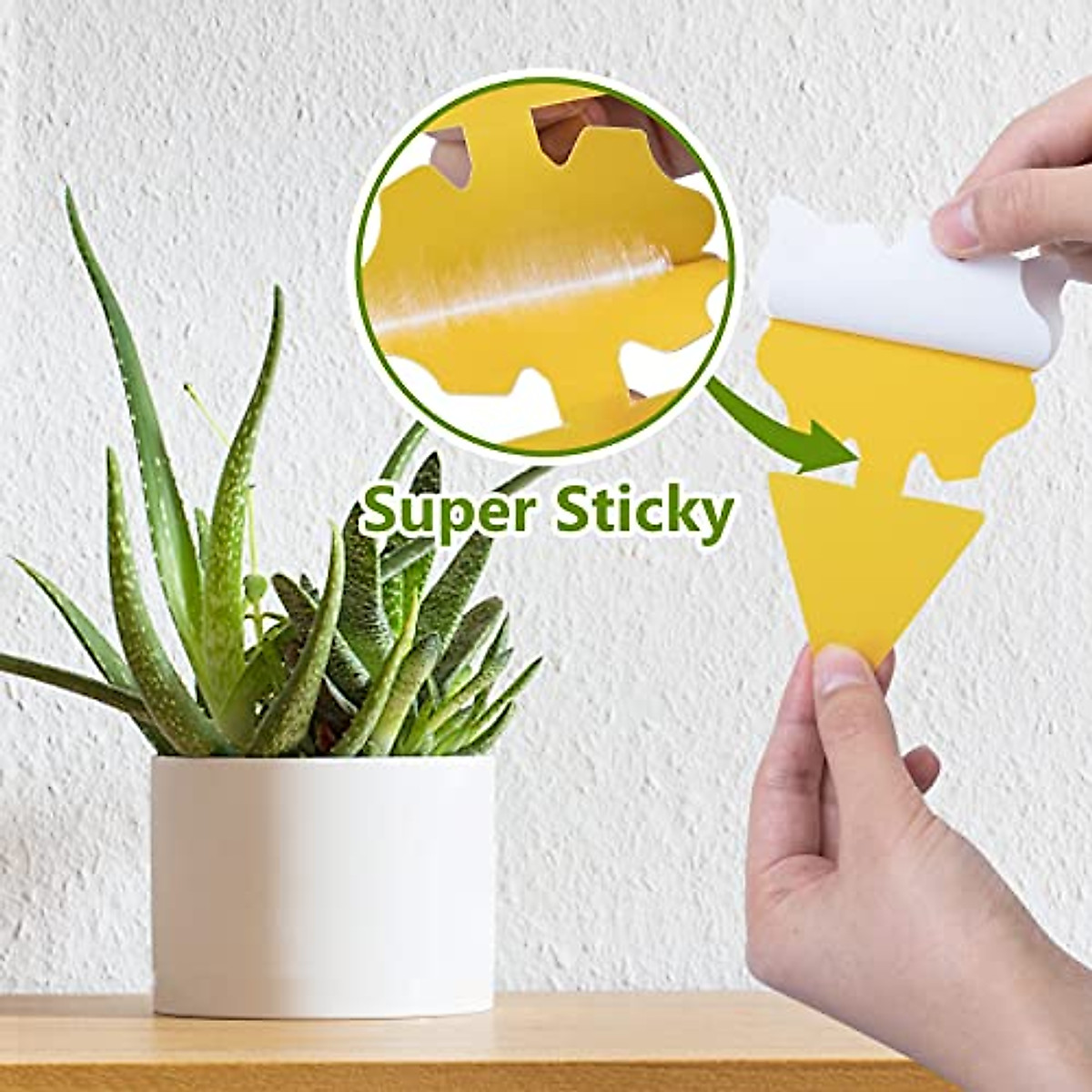 40 Pack Fungus Gnat Traps for House Indoor Yellow Sticky Traps for Plants, Dual-Sided Fungus Gnat Sticky Traps Fruit Fly Traps for Indoors
