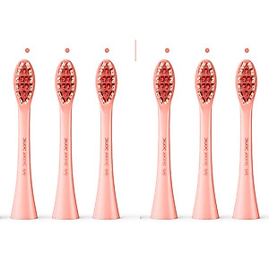 Replacement Toothbrush Brush Heads for Wagner & Stern and Wagner Switzerland toothbrushes. (Pink)