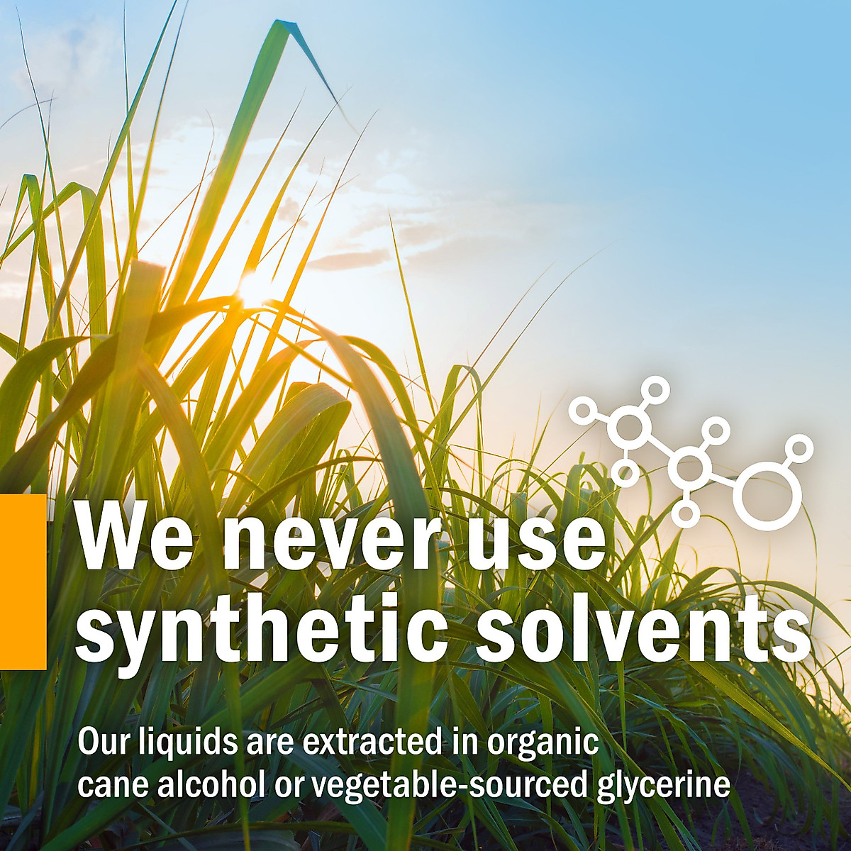 Herb Pharm Certified Organic Shepherd's Purse Liquid Extract, 1 Oz