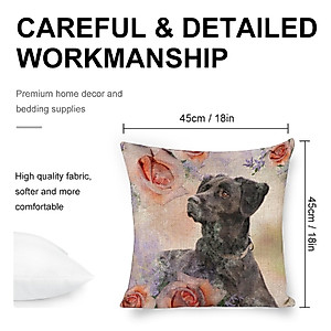 Dog Black Lab Labrador Throw Pillow Covers 18X18 Pillow Cushion Cases, Modern Decorative Square Pillowcases for Sofa Couch Bedroom Living Room Car