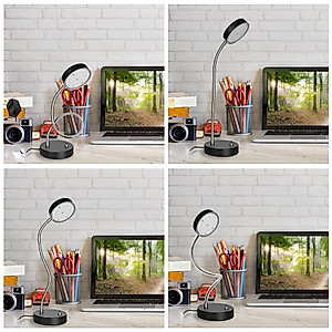 MingBright Flexible Gooseneck LED Desk Lamp Reading Light Office Table Lamp with 21 LEDs 4000K Natural White Eye Protection Desk Light for Reading, Office or Night Light