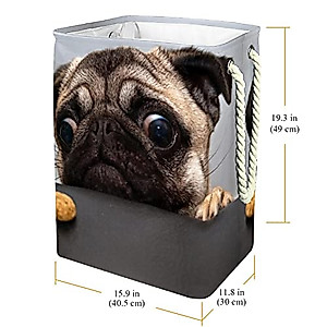 Laundry Hamper Beautiful Male Pug Puppy Dog Collapsible Laundry Baskets Firm Washing Bin Clothes Storage Organization for Bathroom Bedroom Dorm
