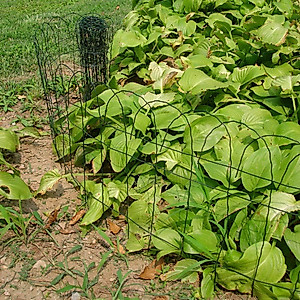 Green Garden Border Edging Folding Fence Roll 14 inches by 20 feet Scroll Top Rolled Yard Fencing Garden Fence, Metal Wire Garden Fence for Outdoor Yard Landscape Patio,Flower Bed Edging.