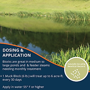 Kasco Macro Zyme Time Release Block Beneficial Bacteria Pack of 2 | Muck Remover for Ponds & Lakes | Non-Chemical Lake & Pond Treatment for Eliminating Sludge & Odors | Treats Up to 6 acre-feet 12 lb.