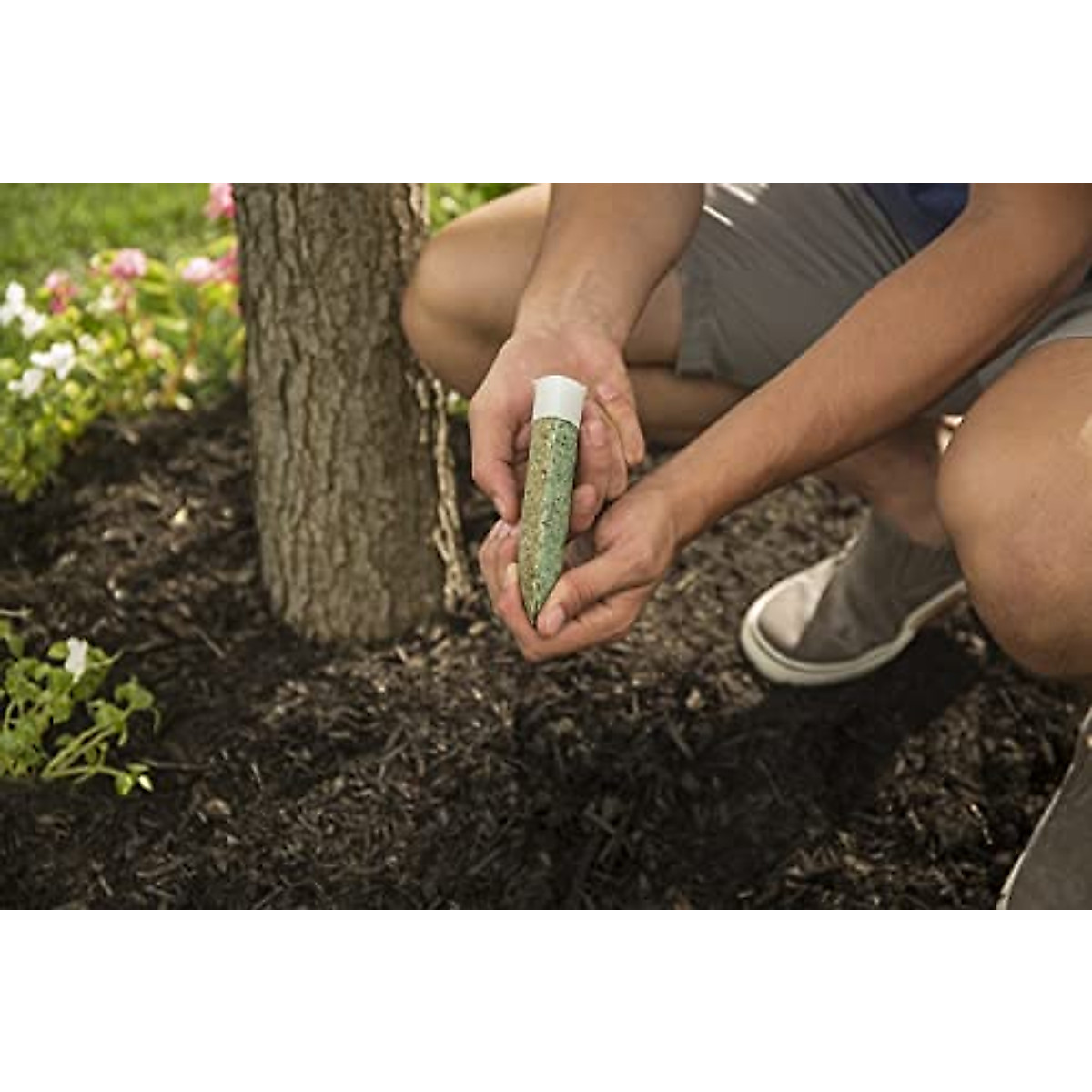 Miracle-Gro Fertilizer Spikes for Fruit and Citrus Trees, 12-Pack (Not Sold in Pinellas County, FL)